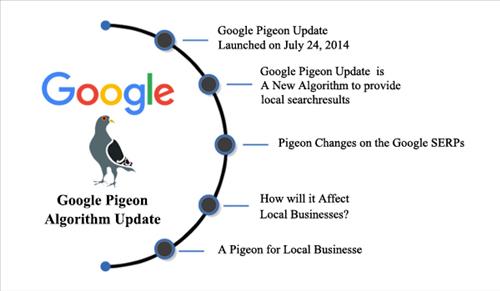 Google Pigeon là gì? Điều bạn cần biết về Pigeon - GadVn.Com